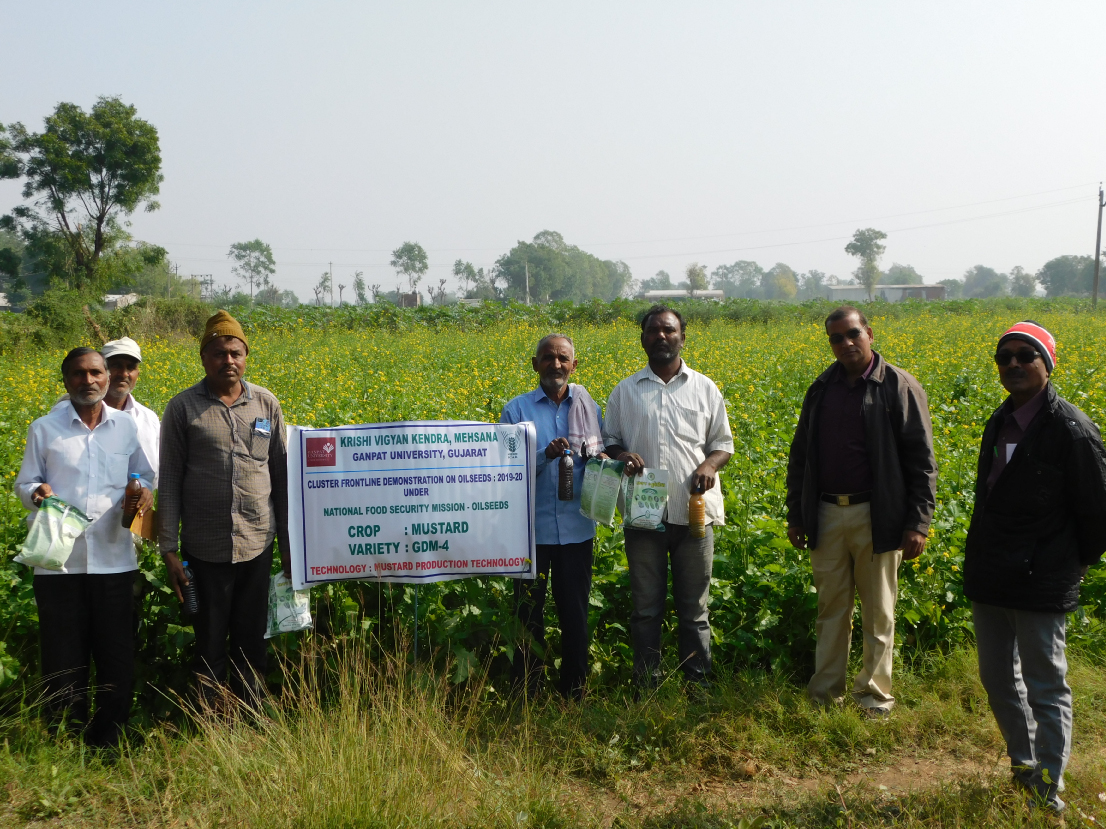 Cluster Frontline Demonstration (FLDs) – KVK Mehsana