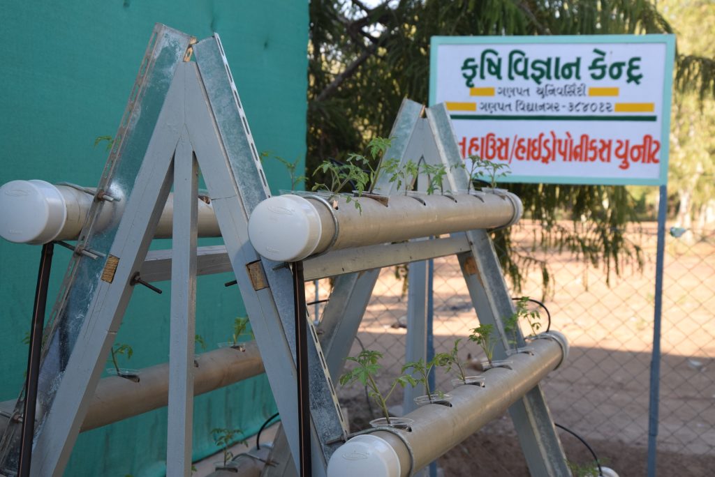 Hydroponics And Greenhouse demo Unit – KVK Mehsana